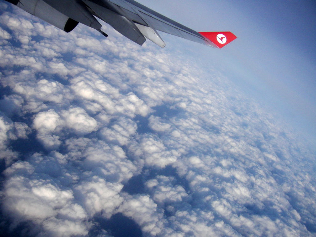 hawaii.jpKIF_0908 | hawaii.jp