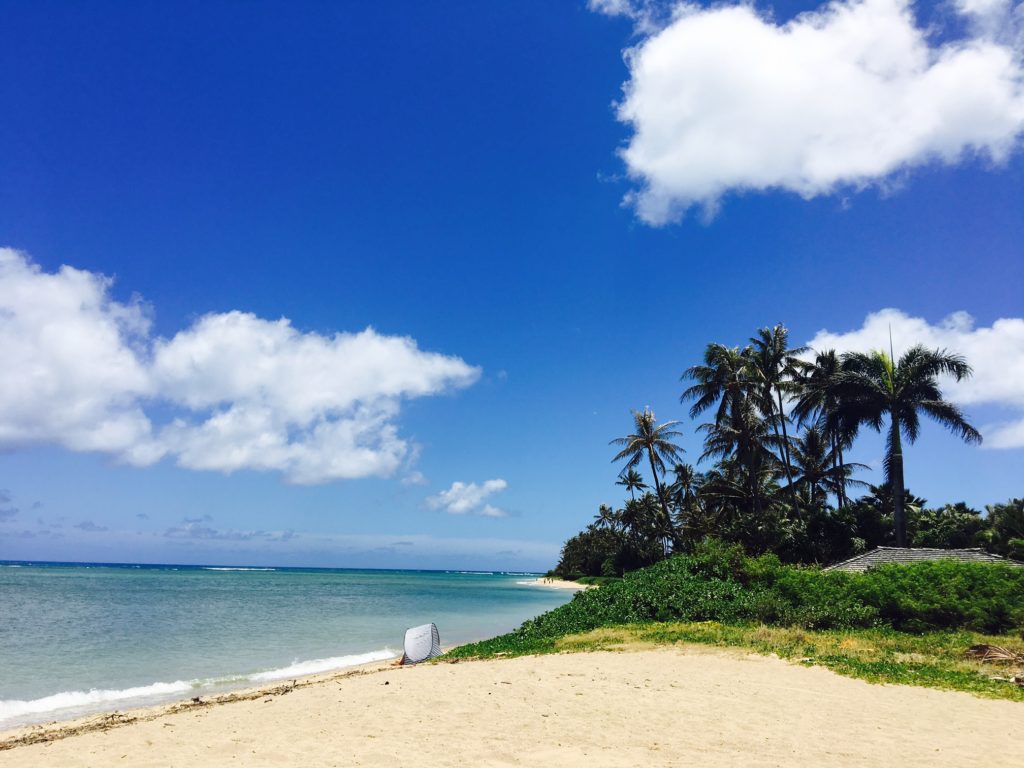 hawaii.jpumi | hawaii.jp